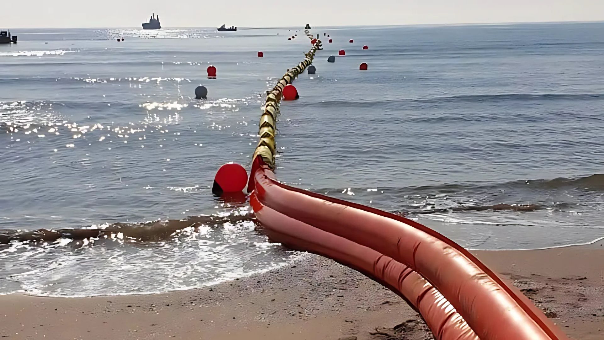Buy Beach Safety Booms | Swim & Marine Animal Protection